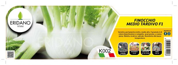 FINOCCHIO MEDIO TARDIVO F1 - FINOCCHIO - ERIDANO VIVAI - Piacenza