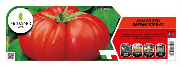 POMODORO BEEFMASTER F1 - POMODORO - ERIDANO VIVAI - Piacenza