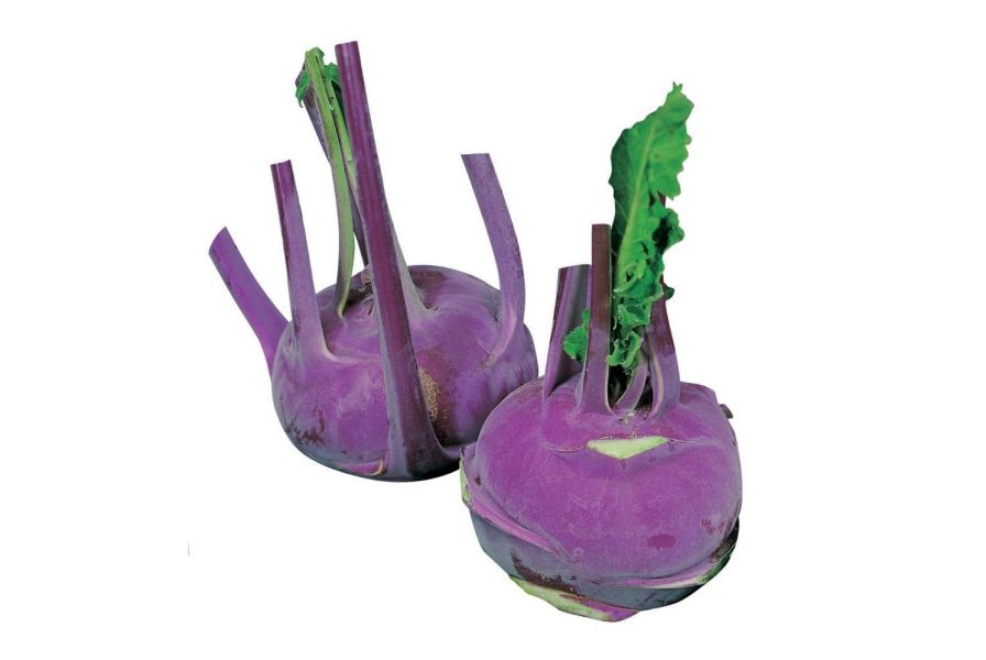 SPIGARIELLO NAPOLETANO - CAVOLO - ERIDANO VIVAI - Piacenza