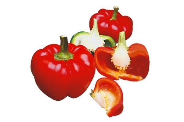 PEPERONE CITRINO DIGERIBILE - PEPERONE - ERIDANO VIVAI - Piacenza