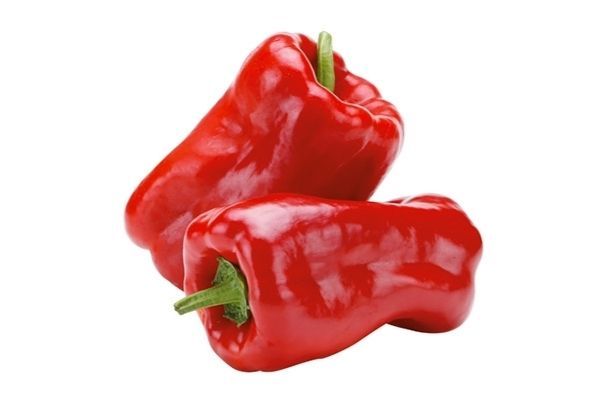 PEPERONE MANTOVANO - PEPERONE - ERIDANO VIVAI - Piacenza