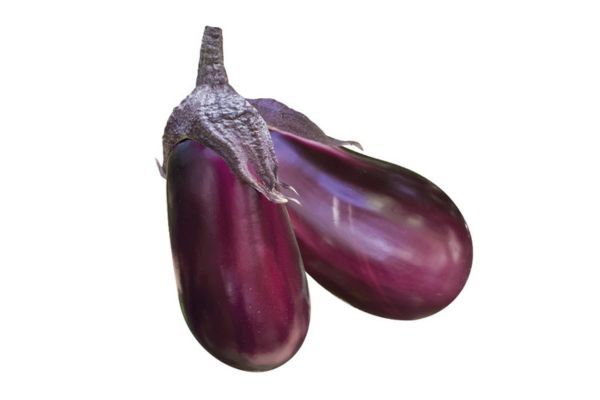 MELANZANA STRIATA F1 - MELANZANA - ERIDANO VIVAI - Piacenza