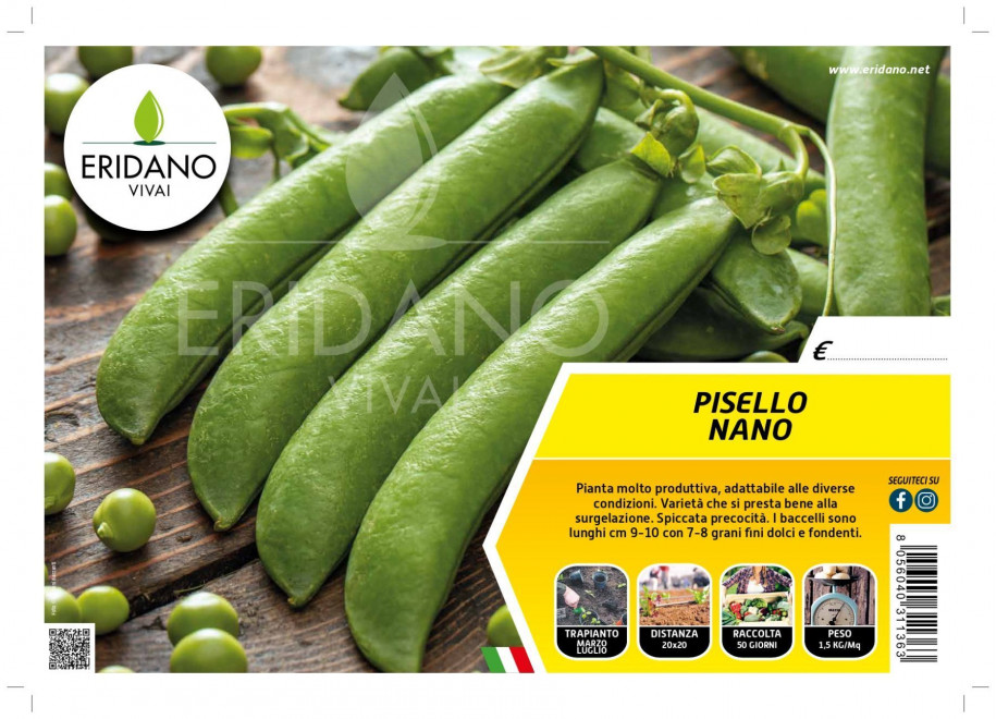 PISELLO NANO - FAVA - GOMBO - PISELLO - CECE - ERIDANO VIVAI - Piacenza