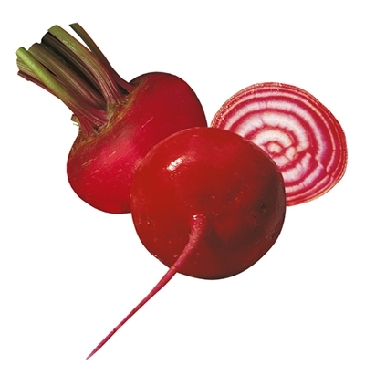 BIETOLA ROSSA - Biologiche - ERIDANO VIVAI - Piacenza