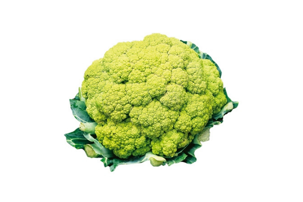 CAVOLFIORE VERDE F1 - CAVOLFIORE - ERIDANO VIVAI - Piacenza