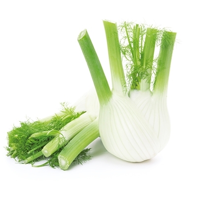 FINOCCHIO - Piantine da orto - ERIDANO VIVAI - Piacenza