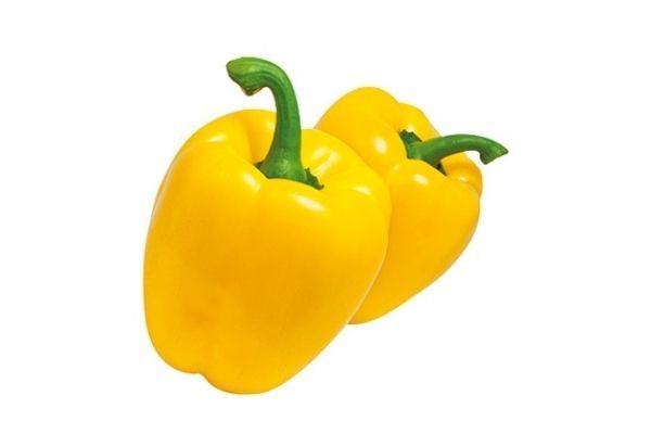 PEPERONE QUADRATO GIALLO F1 INNESTATO - Peperone - ERIDANO VIVAI - Piacenza