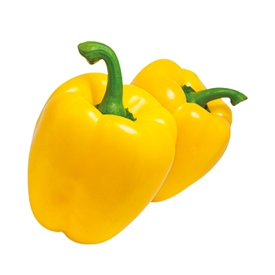 PEPERONE QUADRATO GIALLO - Biologiche - ERIDANO VIVAI - Piacenza