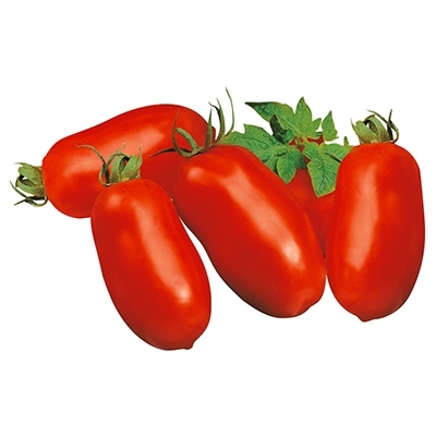 POMODORO S. MARZANO GIGANTE F1 - POMODORO - ERIDANO VIVAI - Piacenza