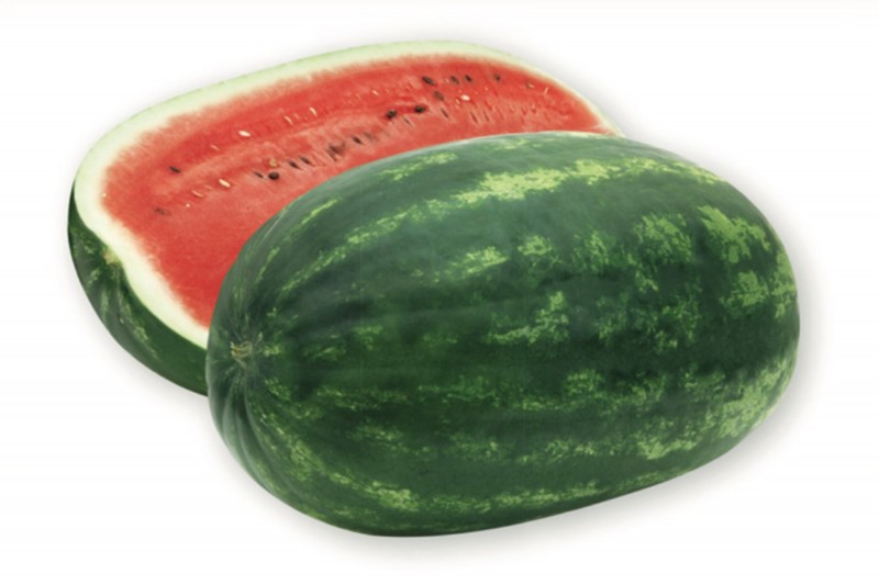 ANGURIA ALLUNGATA GIGANTE F1 - ANGURIA - ERIDANO VIVAI - Piacenza