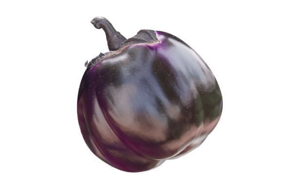 MELANZANA TONDA VIOLA - MELANZANA - ERIDANO VIVAI - Piacenza