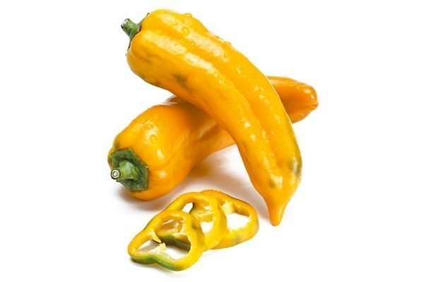 PEPERONE CORNO DI TORO GIALLO - PEPERONE - ERIDANO VIVAI - Piacenza